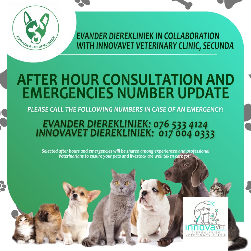 CONTACT US - EVANDER DIEREKLINIEK